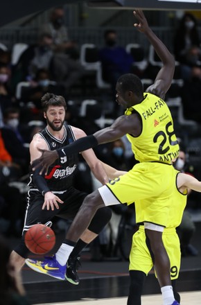 Aleksandar Djordjevic Head Coach Segafredo Virtus Editorial Stock Photo ...