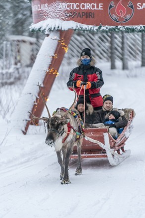 Tourists Enjoying Reindeer Ride Arranged By Editorial Stock Photo ...