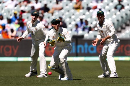Australian Wicket Keeper Tim Paine Captain Editorial Stock Photo ...