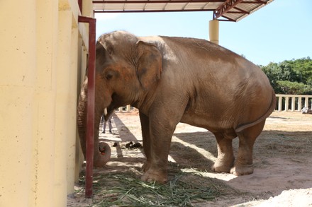 83 Kulen Stock Pictures, Editorial Images and Stock Photos | Shutterstock