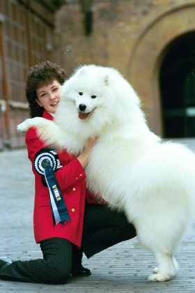 39 Smartie Stock Pictures, Editorial Images and Stock Photos | Shutterstock