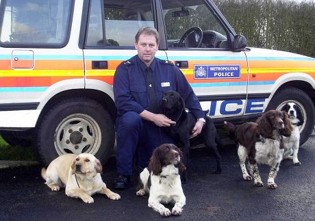 Top Dogs New Recruits Police Dog Editorial Stock Photo - Stock Image ...