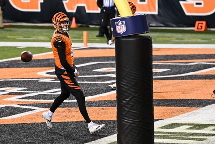 Ryan Finley 5 Cincinnati Bengals Reacts Editorial Stock Photo - Stock ...