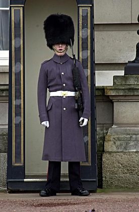 Φωτογραφία στοκ editorial «Londons Most Boring Job Guard Duty ...