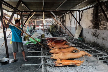 Philippines Manila Roasted Pigs for Christmas - 24 Dec 2020 Stock ...