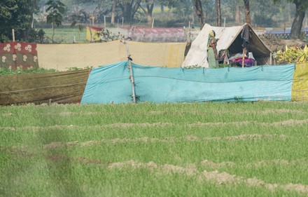 Daily life, Indian farmers, Bighapur in Unnao, Uttar Pradesh, India ...