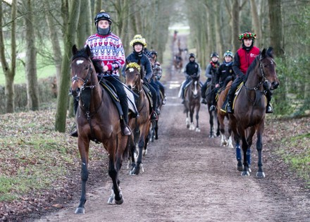 Race Horses Yard Trainer Andrew Balding Editorial Stock Photo - Stock ...