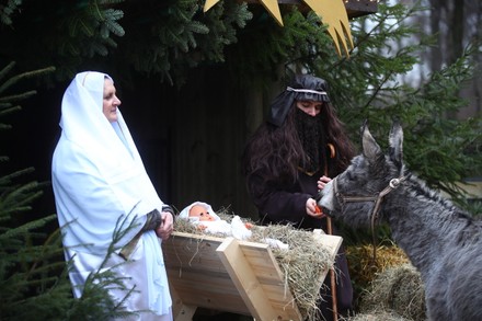 Living Nativity Scene Zoological Garden On Editorial Stock Photo ...