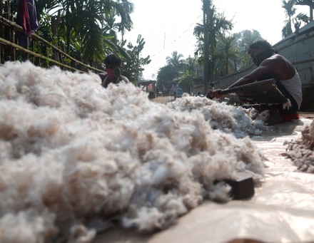 Artisans Working Cotton Factory During Beating Editorial Stock Photo ...
