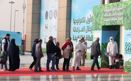 First Go Green Exhibition in Egypt, Cairo - 05 Jan 2021 Stock Pictures ...
