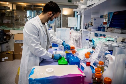 __COUNT__ ReiThera, a company specializing in biotechnology, works on ...
