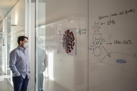 Researchers Work Reitheras Laboratories Castel Romano Editorial Stock ...
