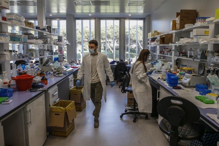 Researchers Work Reitheras Laboratories Castel Romano Editorial Stock ...