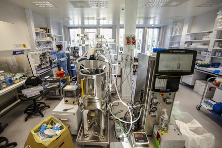 Researchers Work Reitheras Laboratories Castel Romano Editorial Stock ...