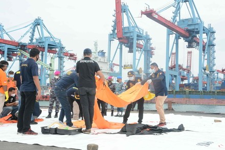 Indonesian Disaster Victim Identification Dvi Officers Editorial Stock ...