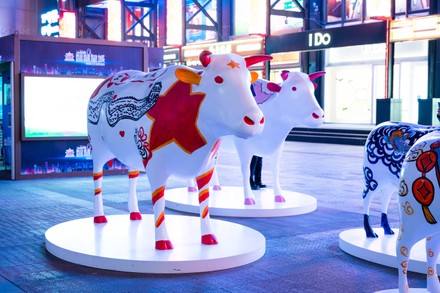 500 Oxen cattle Stock Pictures, Editorial Images and Stock Photos ...