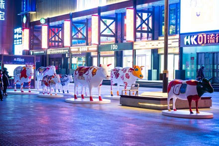 500 Oxen cattle Stock Pictures, Editorial Images and Stock Photos ...