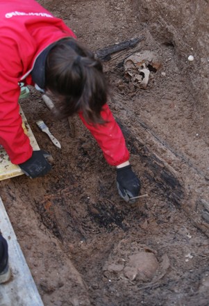 Archaeologist Founds Human Remains During Exhumation Editorial Stock ...