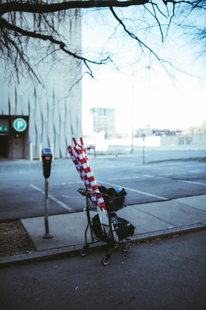 2nd Amendment Protestor Holds Flag Over Editorial Stock Photo - Stock ...