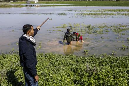 55 Israel of dams Stock Pictures, Editorial Images and Stock Photos ...