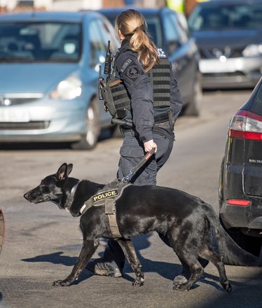 Police Dog Handler Scene Where Police Editorial Stock Photo - Stock ...