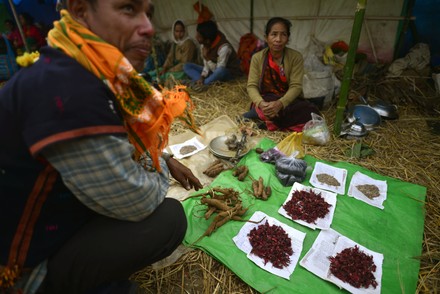 Indian Villagers Exchange Goods Form Barter Editorial Stock Photo ...