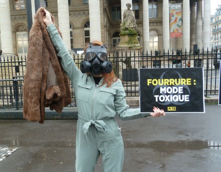 Members Animal Rights Group Peta Take Editorial Stock Photo - Stock ...