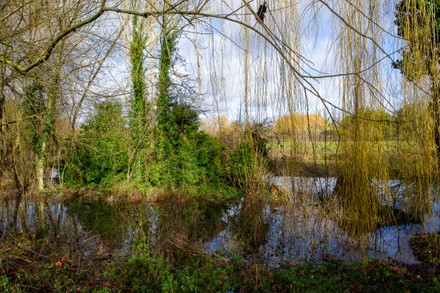 Seasonal Weather, Flood Warning, Colnbrook, Berkshire, UK - 29 Jan 2021 ...