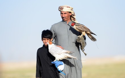 Man Child Hold Falcons During Falcon Editorial Stock Photo - Stock ...