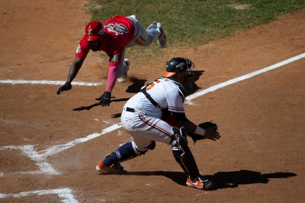 Venezuelan Player Ali Castillo Below Action Editorial Stock Photo ...