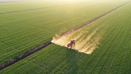 66 Large scale planting Stock Pictures, Editorial Images and Stock ...