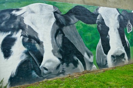 __COUNT__ Cows mural in former cattle market site, Town Centre, Reading ...