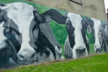 Mural Three Cows Remains Regent Place Editorial Stock Photo - Stock ...