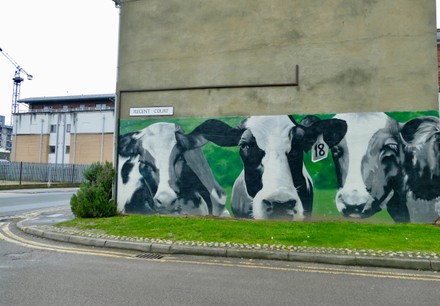 Mural Three Cows Remains Regent Place Editorial Stock Photo - Stock ...