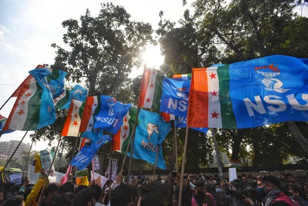 Nsui Flags Raised During Citizens March Editorial Stock Photo - Stock ...