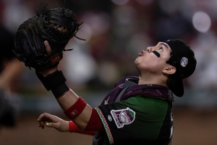 Alexis Wilson Mexico Action During Caribbean Editorial Stock Photo ...