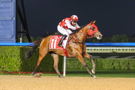Rb Money Burn Us Ridden By Editorial Stock Photo - Stock Image ...