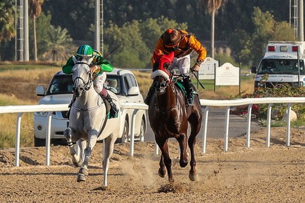 Horse Racing, Al Ain, Abu Dhabi, United Arab Emirates - 12 Feb 2021 ...