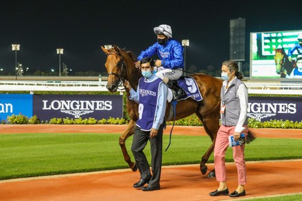 Eastern World Ire Ridden By Royston Editorial Stock Photo - Stock Image ...