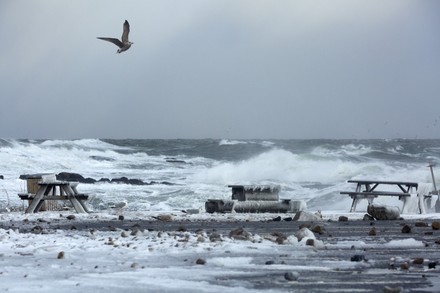 Snowstorm in Bornholm, Allinge, Denmark - 09 Feb 2021 Stock Pictures ...