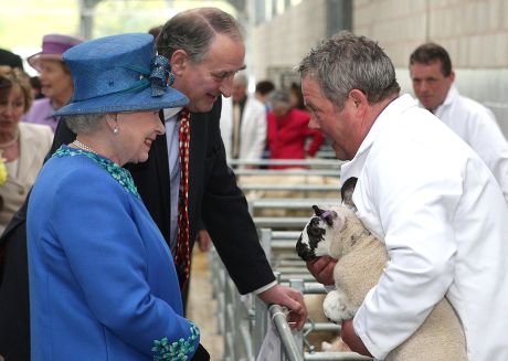 queen elizabeth ii animals Stock Photos (Exclusive) | Shutterstock