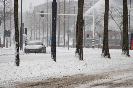 Blizzard Snowstorm Darcy Netherlands First Heavy Editorial Stock Photo ...