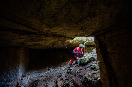 Member Melphicta Caves Group Volunteer Speleologists Editorial Stock ...