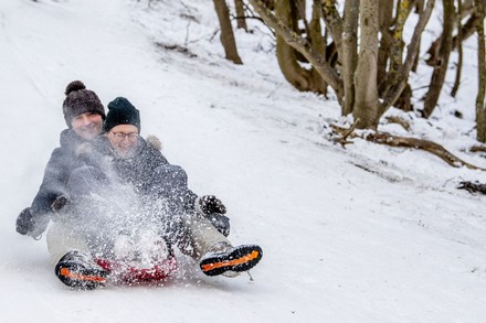 People Sled Dunes Kijkduin Editorial Stock Photo - Stock Image ...