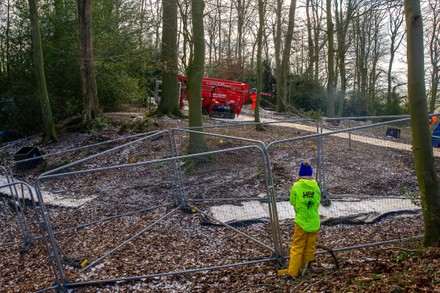 HS2 Bat Survey, Aylesbury Vale, Buckinghamshire, UK - 10 Feb 2021 Stock ...