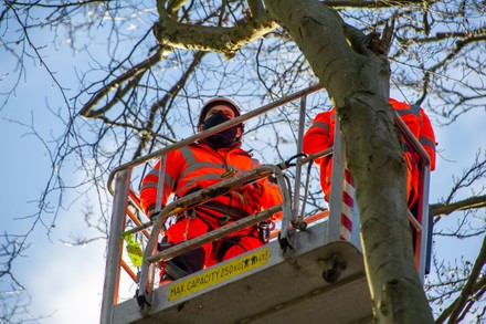 HS2 Bat Survey, Aylesbury Vale, Buckinghamshire, UK - 10 Feb 2021 Stock ...