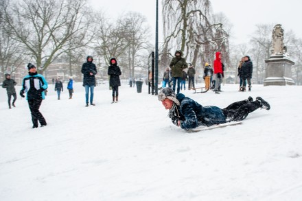 6 Log sledge Stock Pictures, Editorial Images and Stock Photos ...