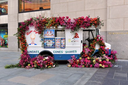 Valentines Day Flower Flash, New York, USA - 12 Feb 2021 Stock Pictures ...