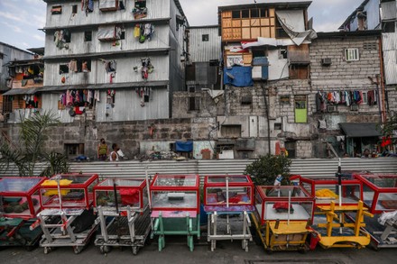 Coronavirus outbreak, Manila, Philippines - 15 Apr 2020 Stock Pictures ...