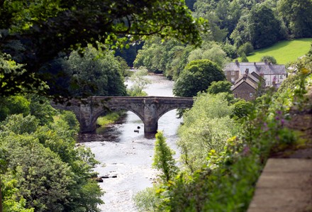 Children Play Shallow Water River Swale Editorial Stock Photo - Stock ...